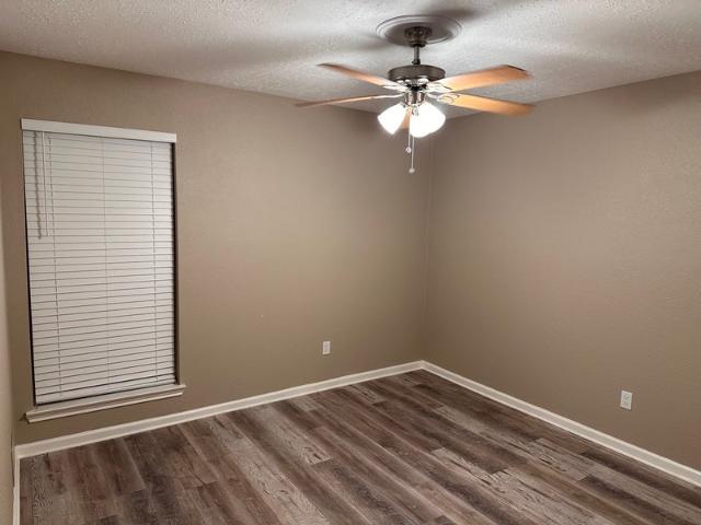 Looking for a roommate
