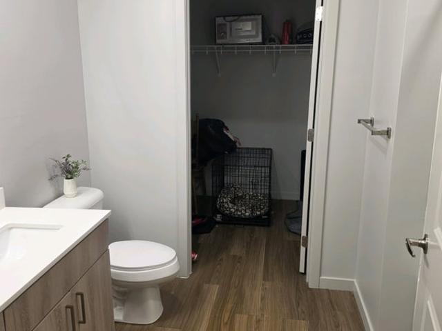 Looking for a roommate