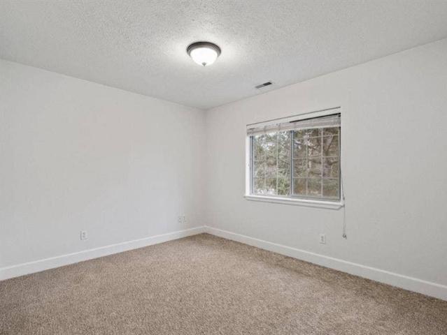 Looking for a roommate!