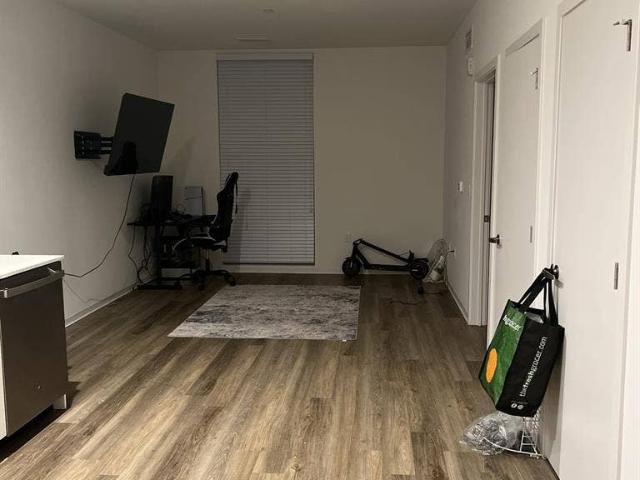 Looking for a roommate