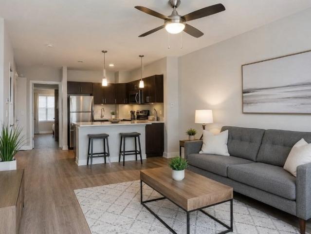 Looking for a Roommate