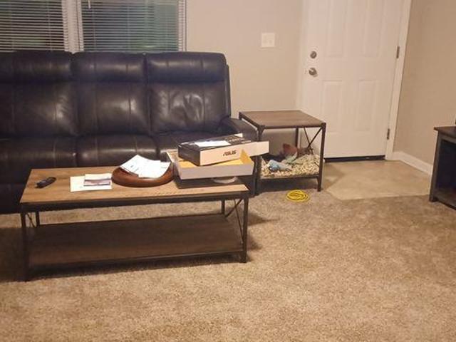 Looking for a roommate 700/month