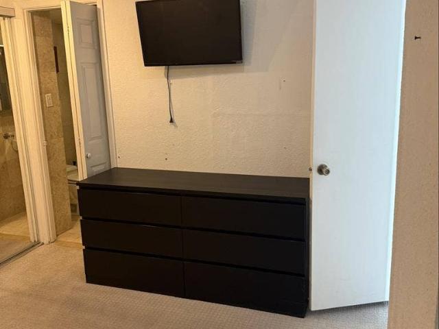 Looking for a roommate