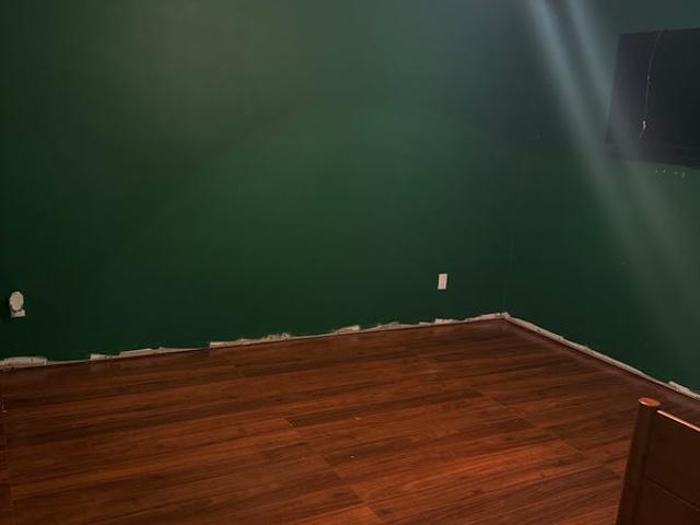 Looking for a roommate
