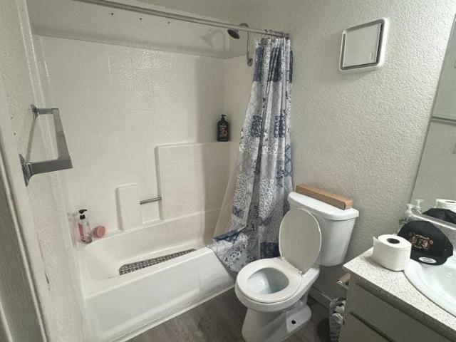 Looking for a roommate/s 91387