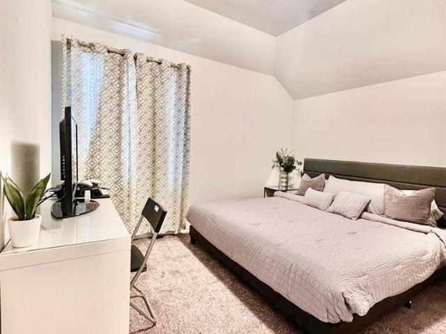 Looking for a single female roommate