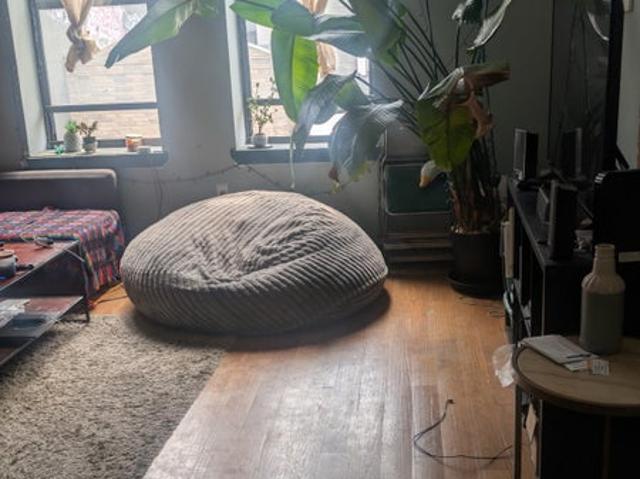 1 Room in spacious Bushwick apartment July 1