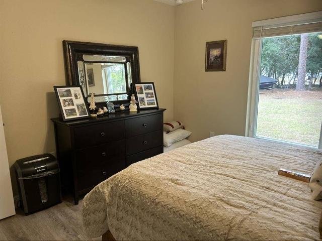 Looking for an older female tenant