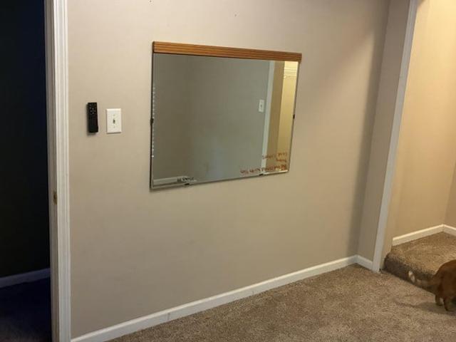 Looking for another roommate