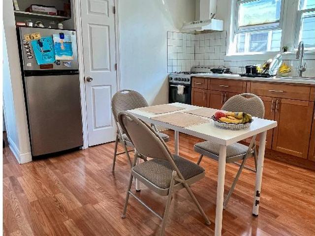 looking for cat friendly housemate long term
