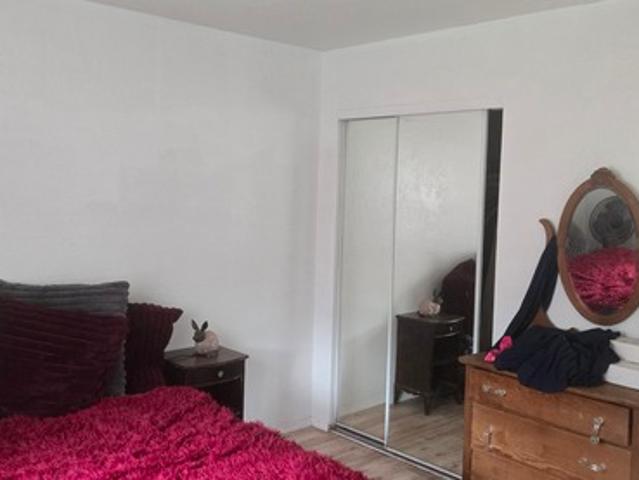 Looking for Colab roomie