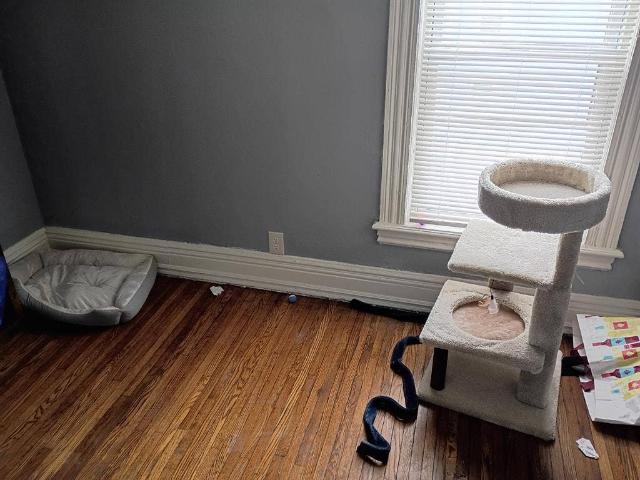 Looking for clean, tidy person!