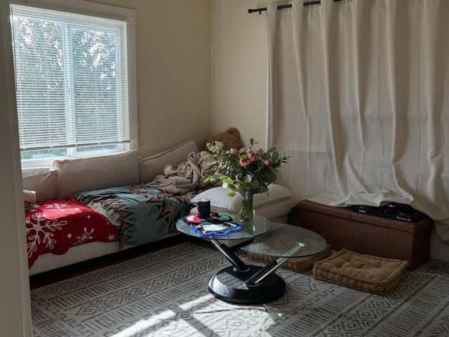 Looking for Clean and chill rm