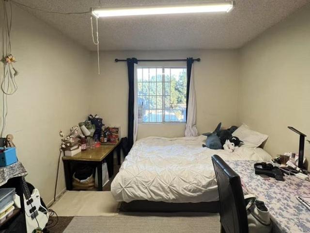 Looking for clean female roommates!