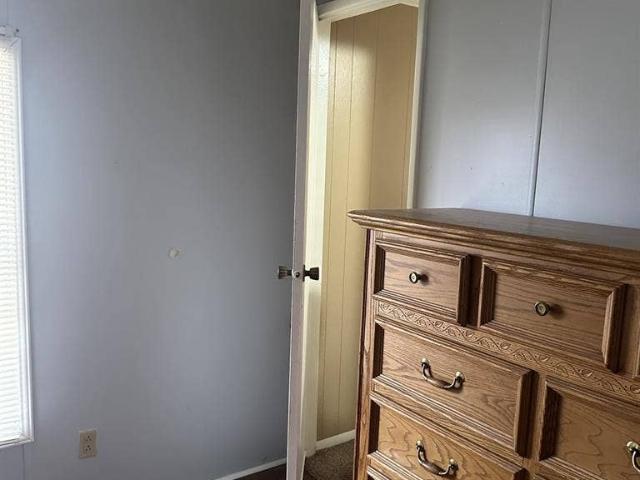 Looking for female roommatees