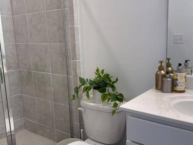 Looking for Female tenant