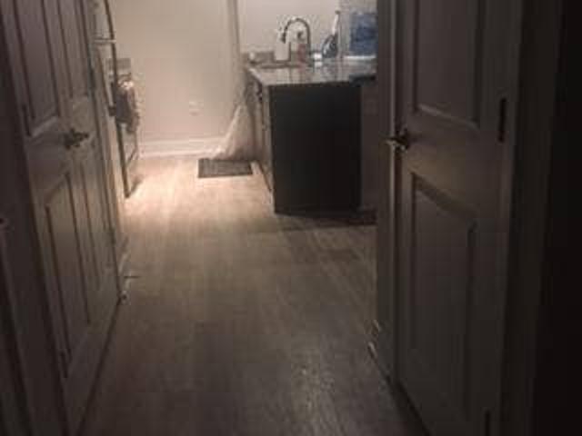 Looking for friendly roommate