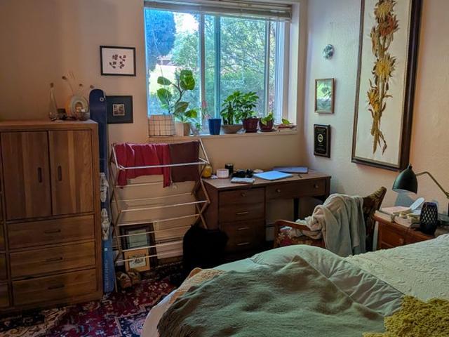 Looking for kind and tidy roommate
