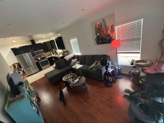 Looking for LGBTQ friendly roommate