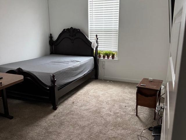 Looking for longtime roommate