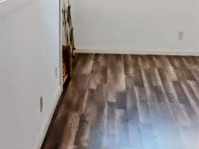 Looking for a Roommate