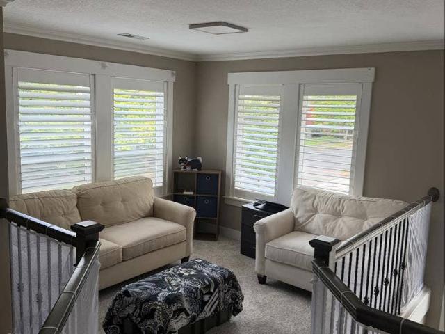 Looking for new Roomate