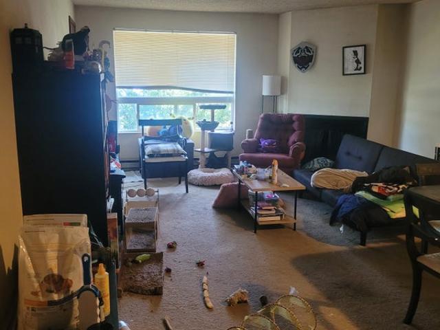 Looking for Nice Roommate