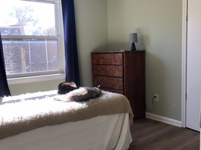 Looking for quiet guy to share Richardson home