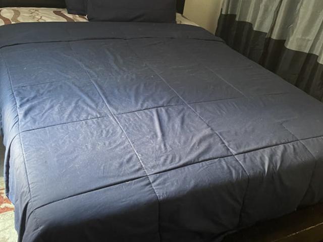 Looking For Reliable Tenant