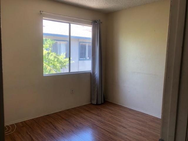 Looking for Respectable Roommate who Likes Cats