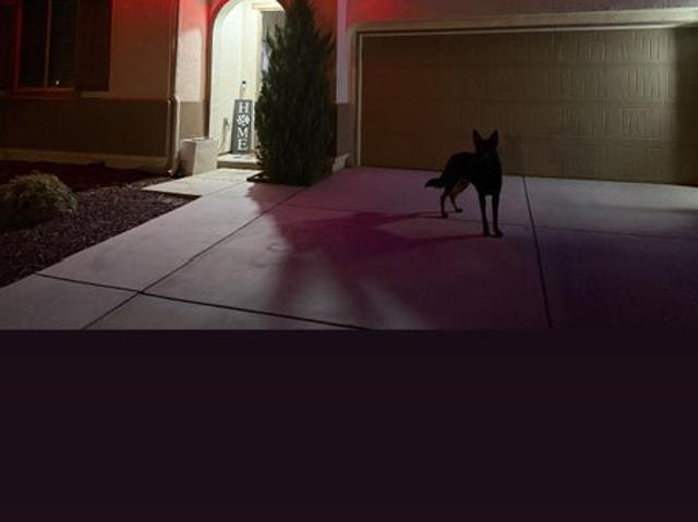 Looking for respectful roommate in a quiet home