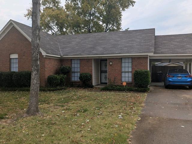 Looking for responsible roommate for house
