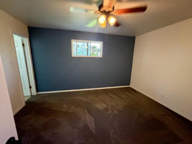 Looking for Roomate, must love dogs