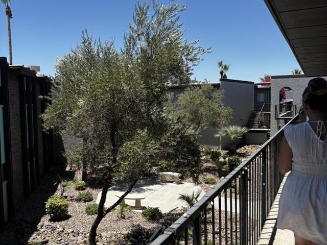 Looking for Roommate