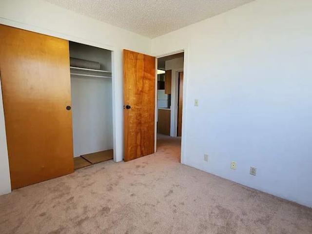 Looking For Roommate