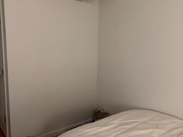 Looking for roommate
