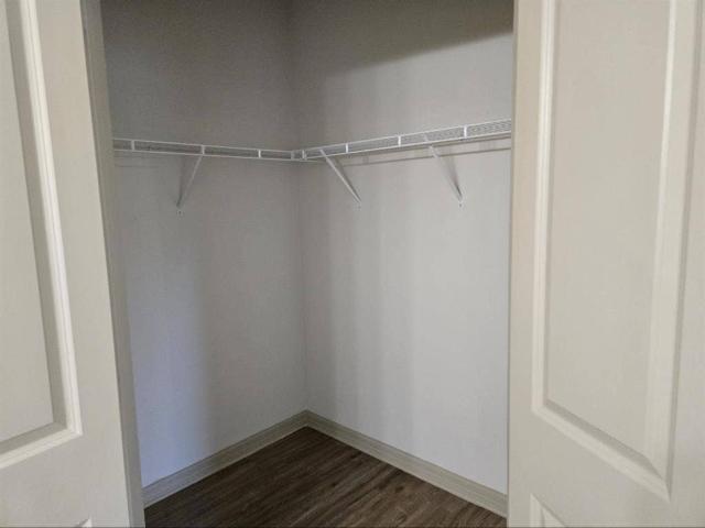 Looking for roommate