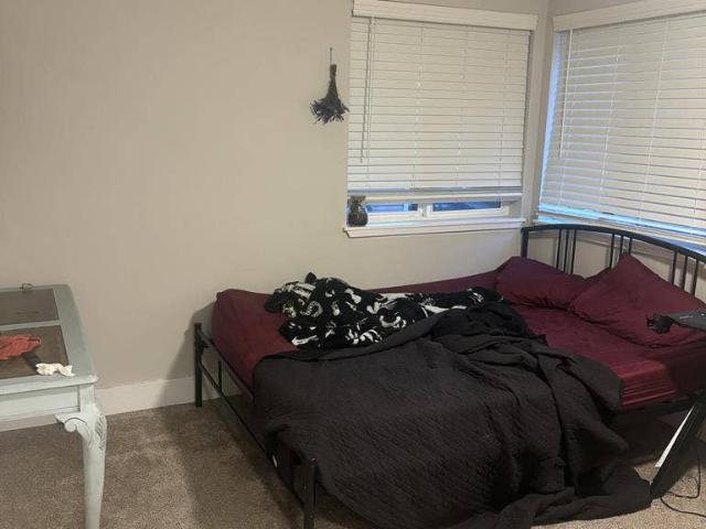 Looking for roommate ⬛