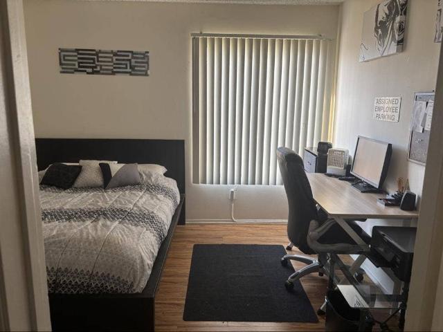 Looking For Roommate