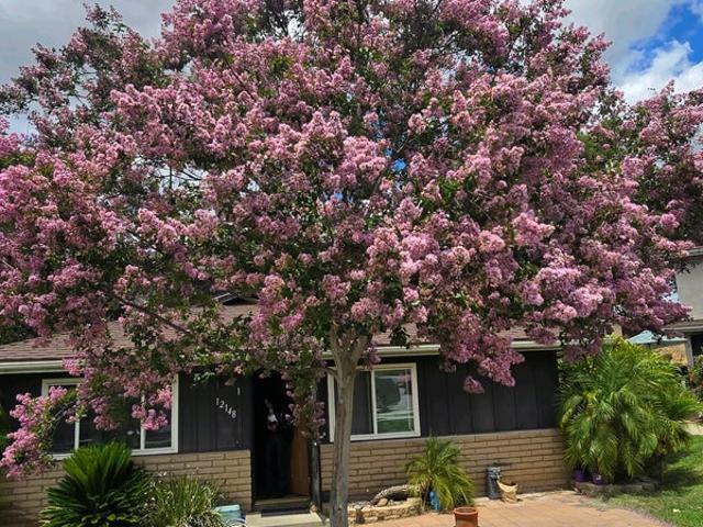 Looking for roommate