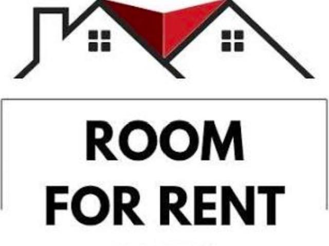 Looking for Roommate 1 Room and bath