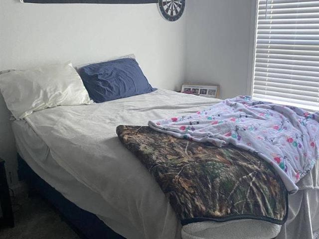 Looking for Roommate
