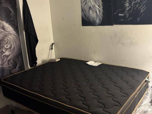 Looking For Roommate