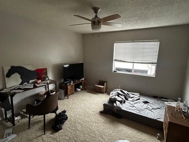 Looking for roommate!