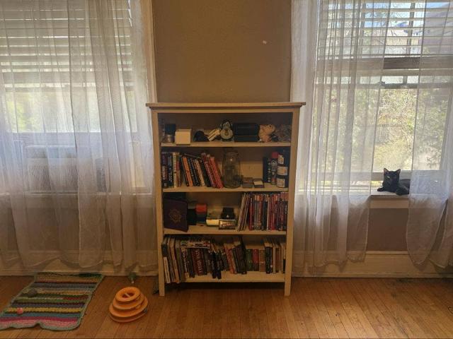 Looking for roommate