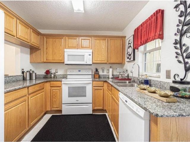 Looking For Roommate
