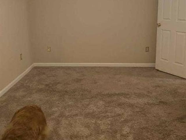 Looking for roommate immediately