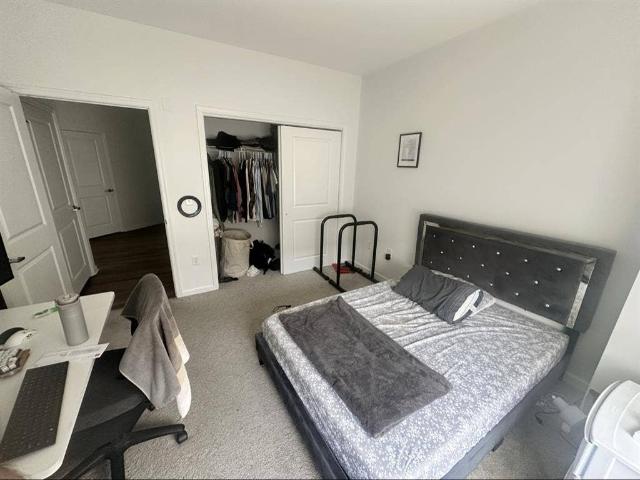 Looking for roommate in 2b2b apt