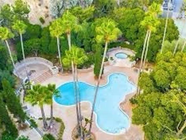looking for roommates