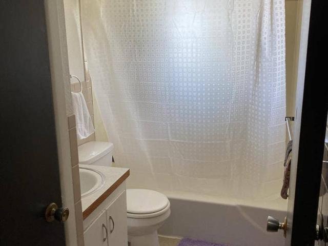 Looking For Roommates!